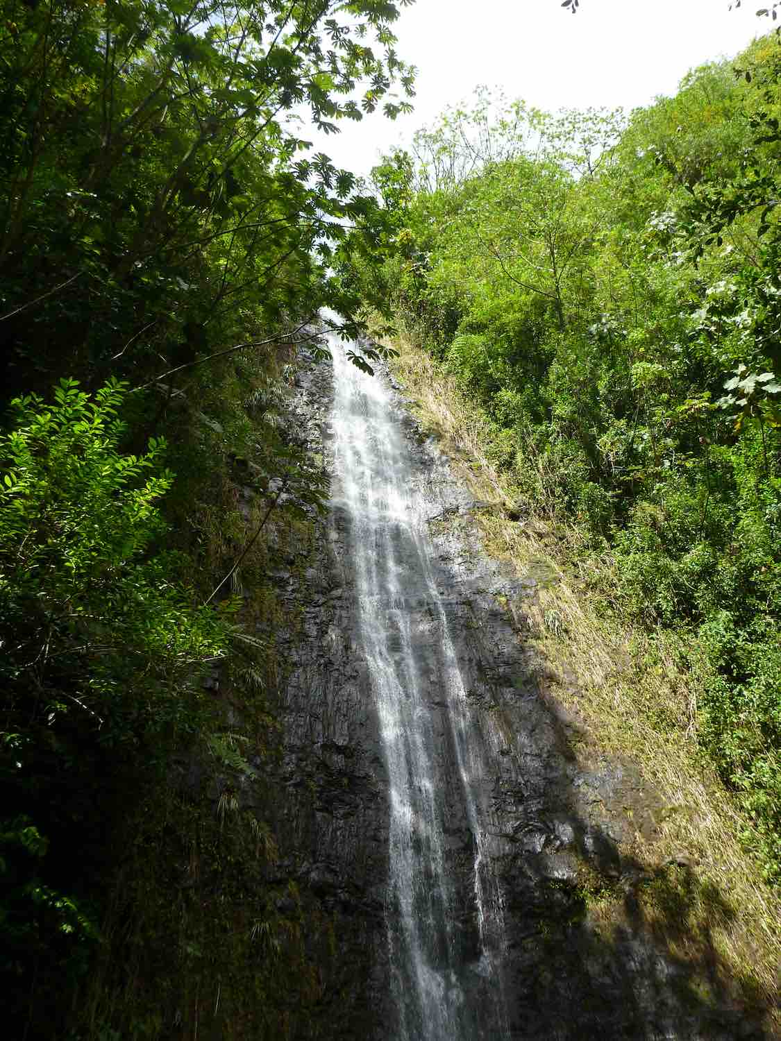 12 Gorgeous Oahu Waterfall Hikes Worth the Sweat (2023) - Hawaii Travel ...