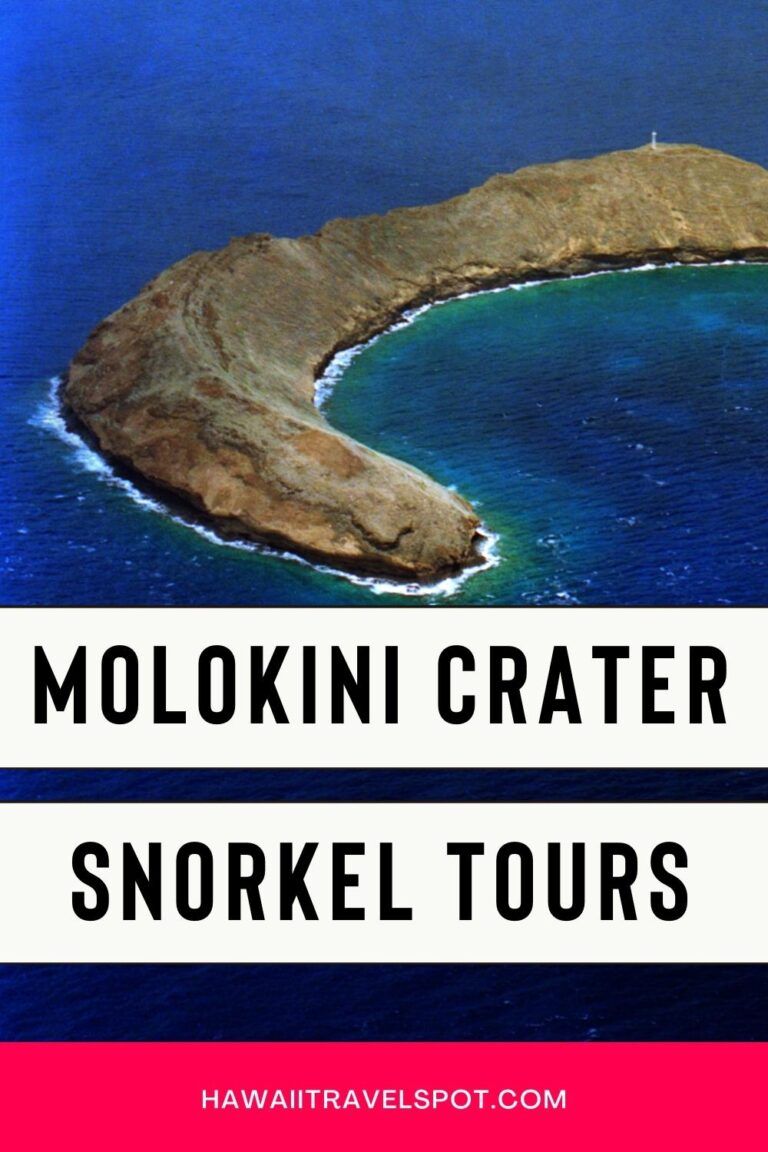 Best Molokini Snorkel Tours on Maui (2023) - Hawaii Travel Spot