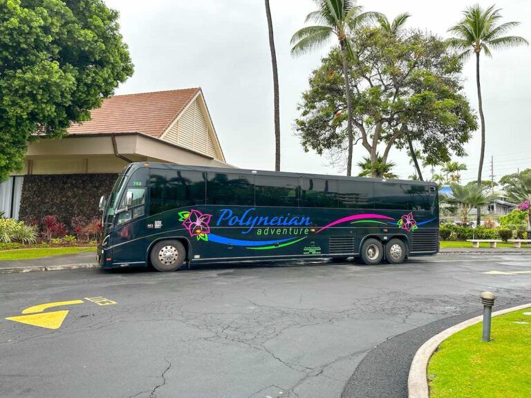 Kona to Hilo Drive Options on the Big Island (2023) - Hawaii Travel Spot
