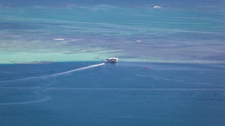 What's the Best Oahu Sandbar Tour in Kaneohe Bay? - Hawaii Travel Spot